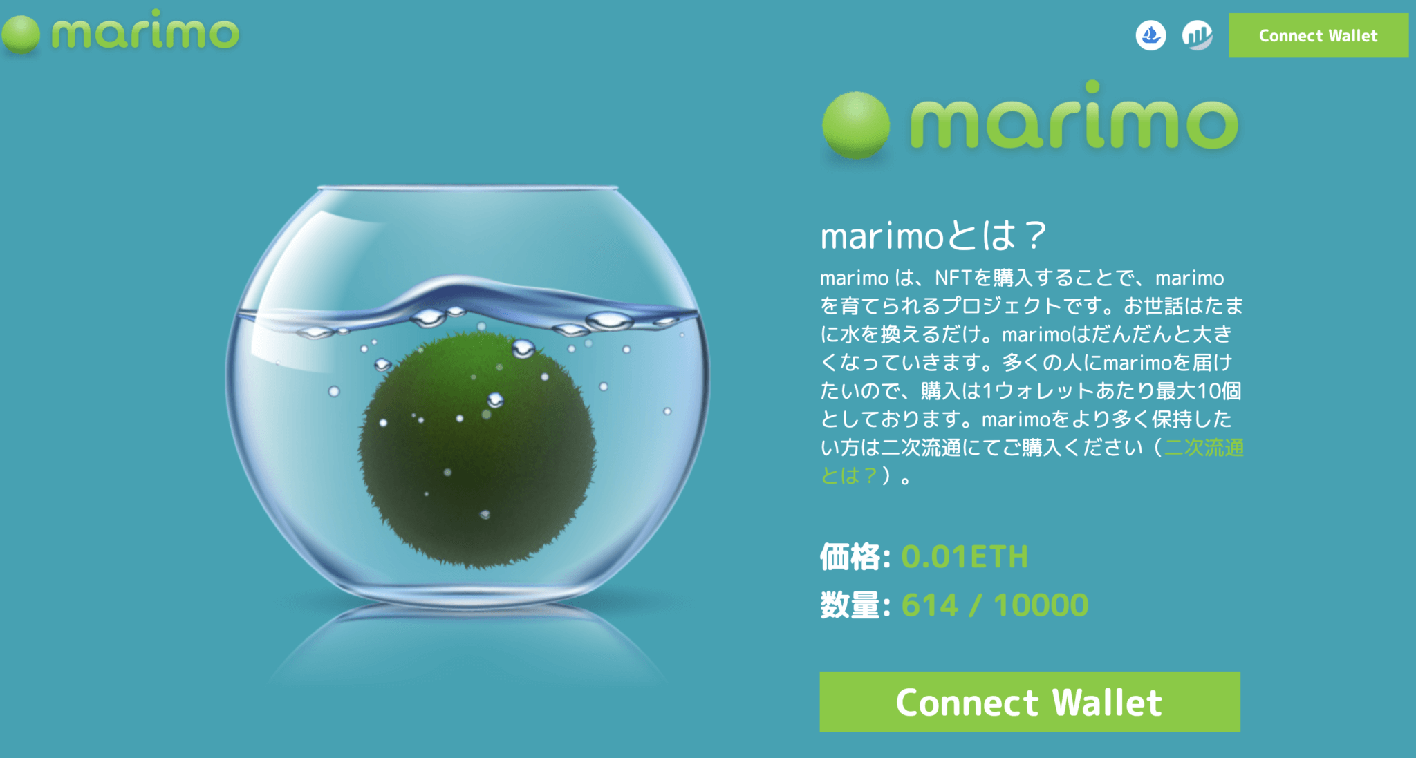 【開始7分で1万体が完売！？】 成長するNFT「marimo」とは？ | セラピストの地図
